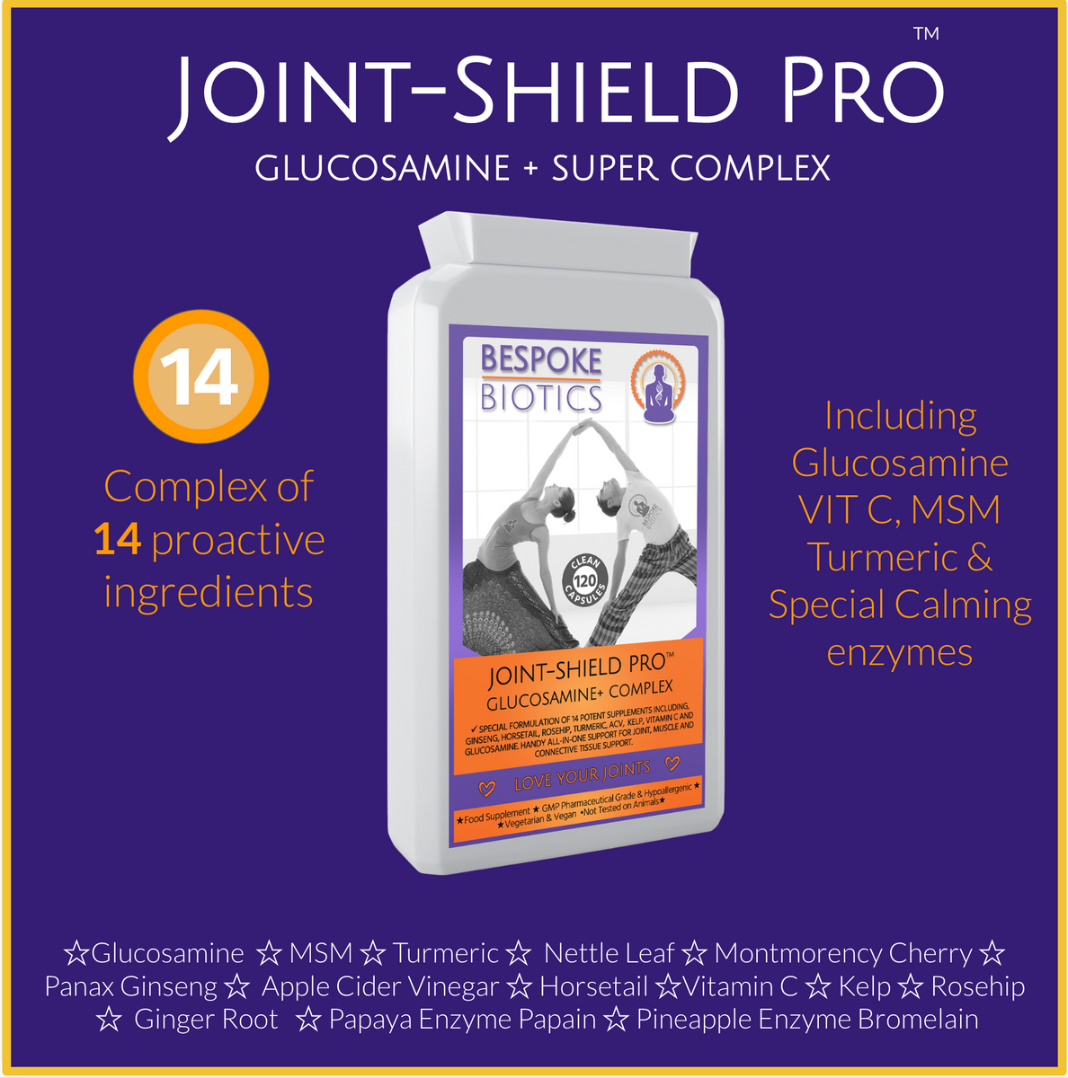 JOINT-SHIELD PRO Glucosamine 300mg Complex with MSM, Sour Cherry, Rose ...